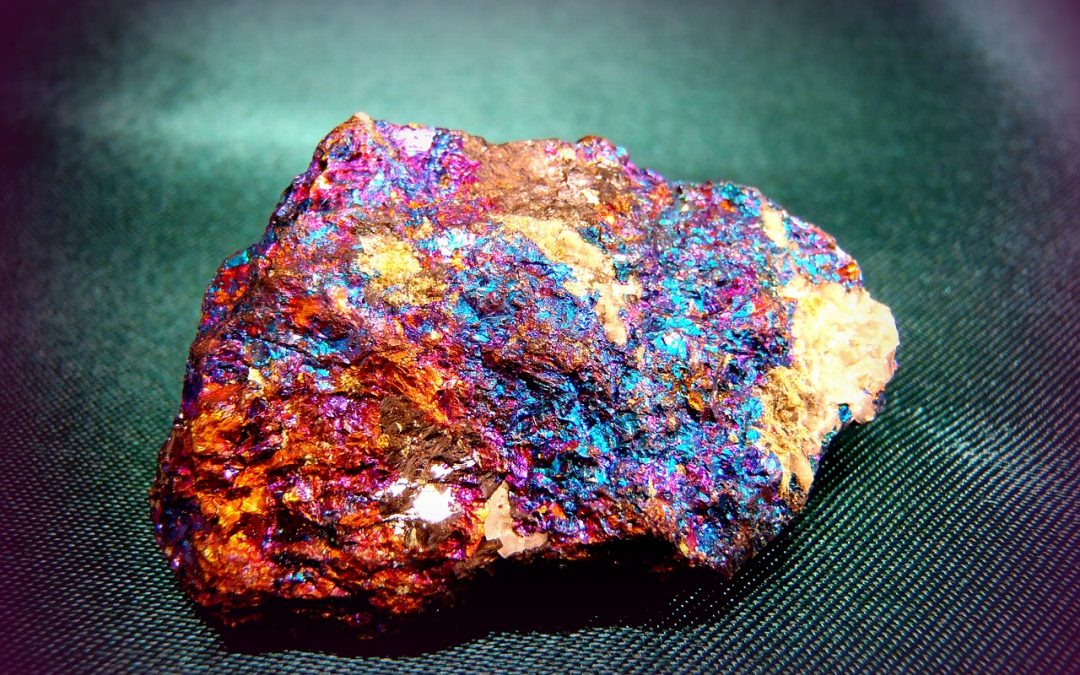 Peacock Ore | Sun Angel Media